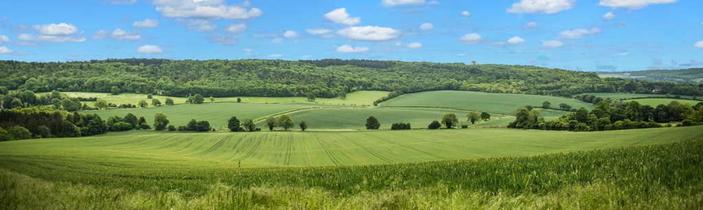 Official Website for Crawford County Wisconsin - Health Department